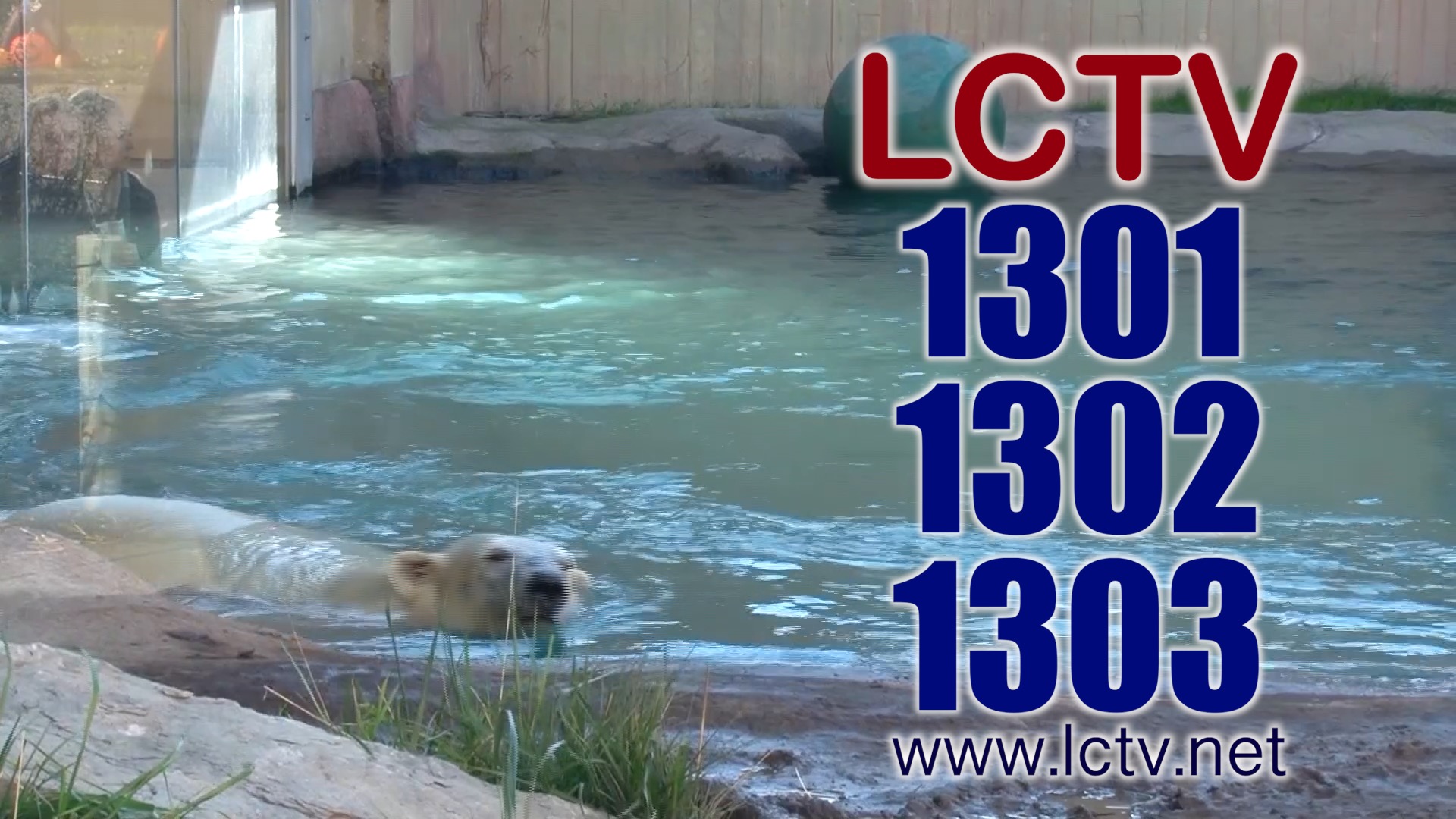 Lockport Community Television | Lockport Community Television