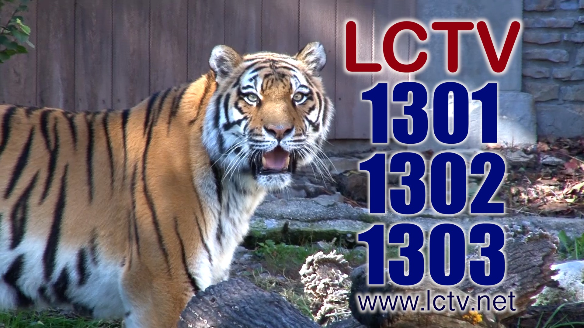 Lockport Community Television | Lockport Community Television